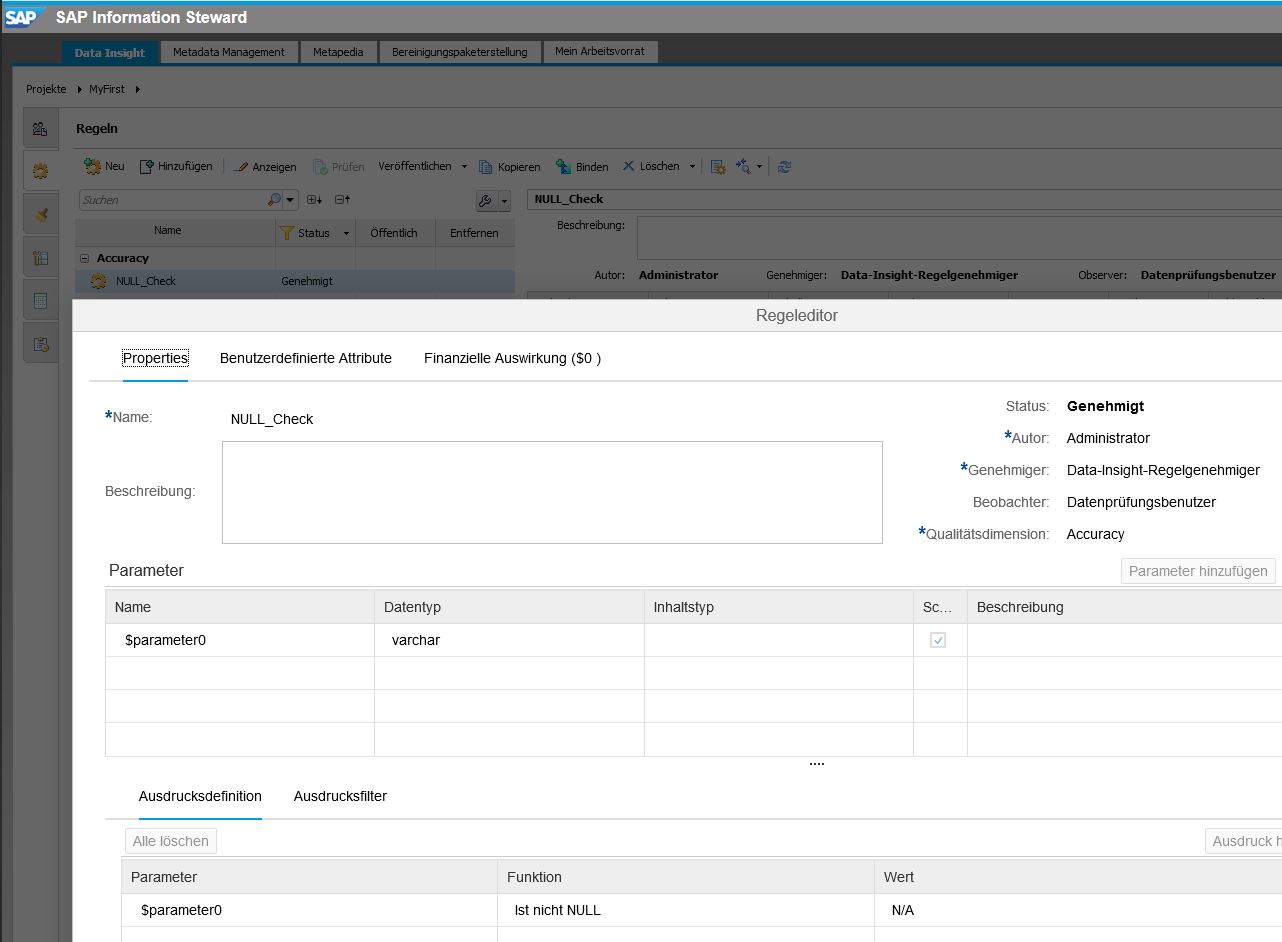 SAP Information Steward – die Daten im Blick! - plus-IT AG